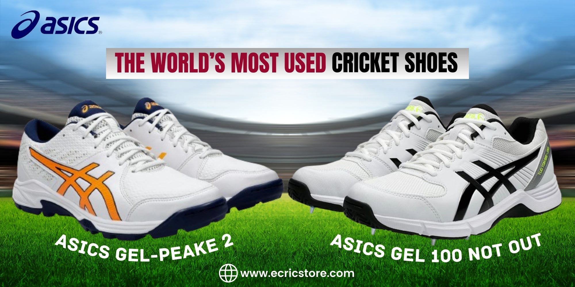 Premium Online Cricket Store!